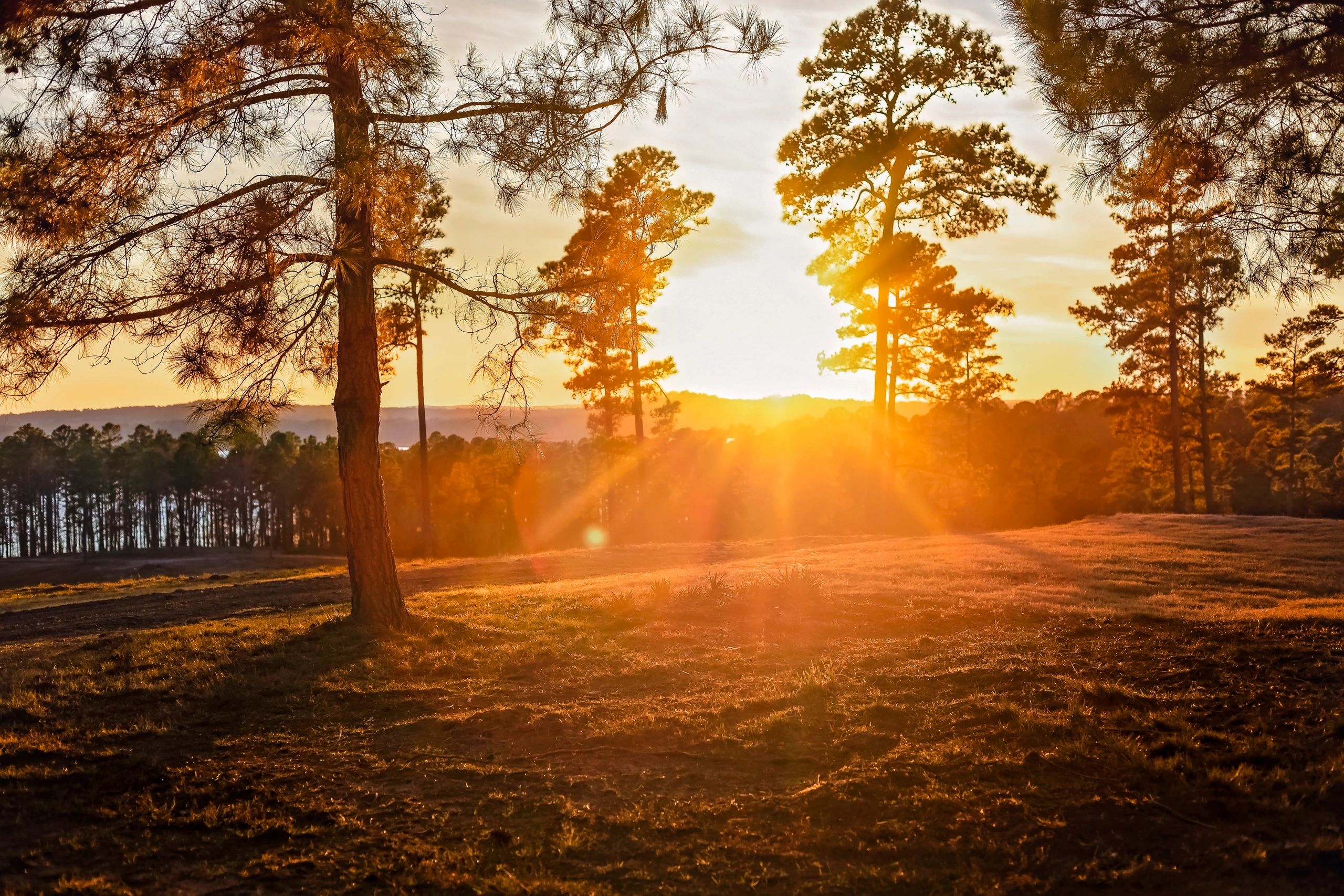 About | Selah Resort