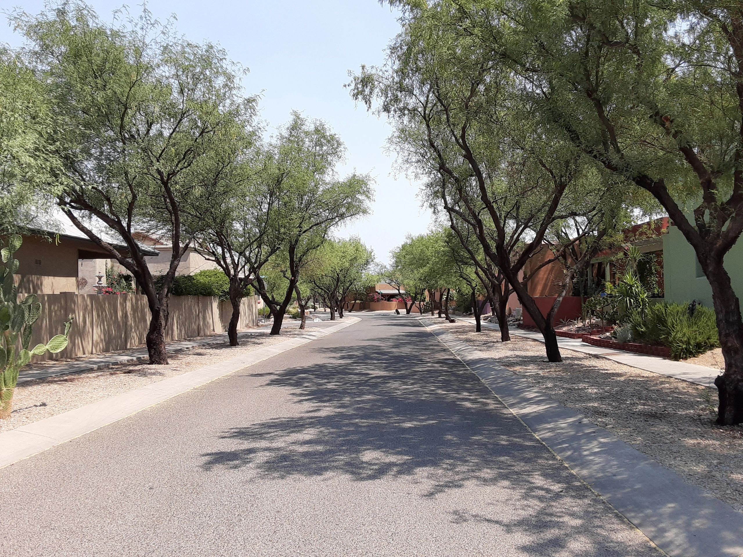 Civano Bulletin Board - Civano - Tucson, Arizona