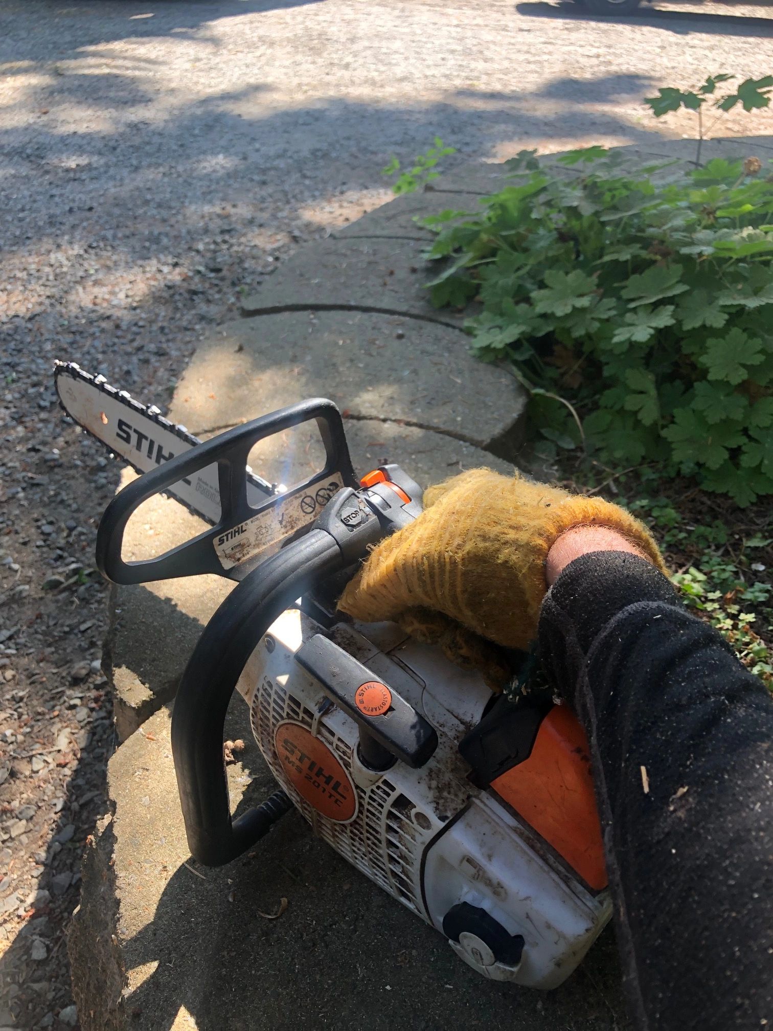 Treeco Tree Service | Treeco Tree Service