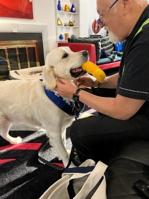 Project Chance: Testimonial