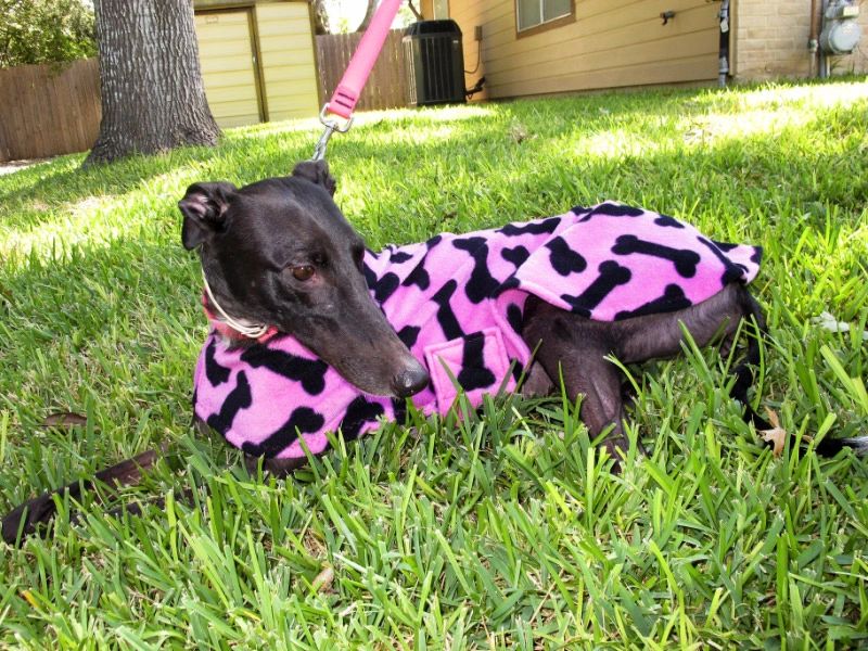 Greyhound Fleece Jackets.com by B & T Products
