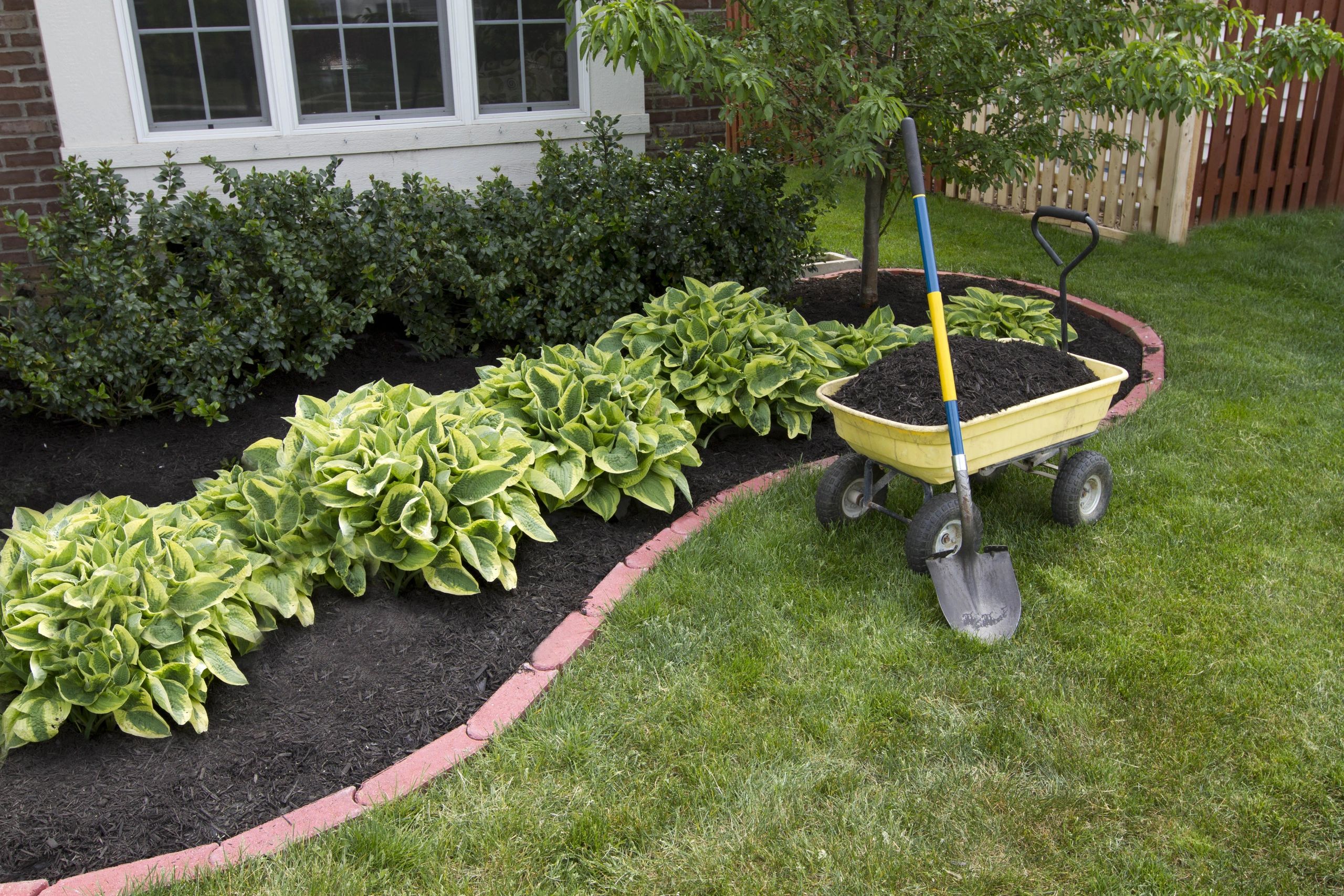 How Mulch Can Upgrade Your Property