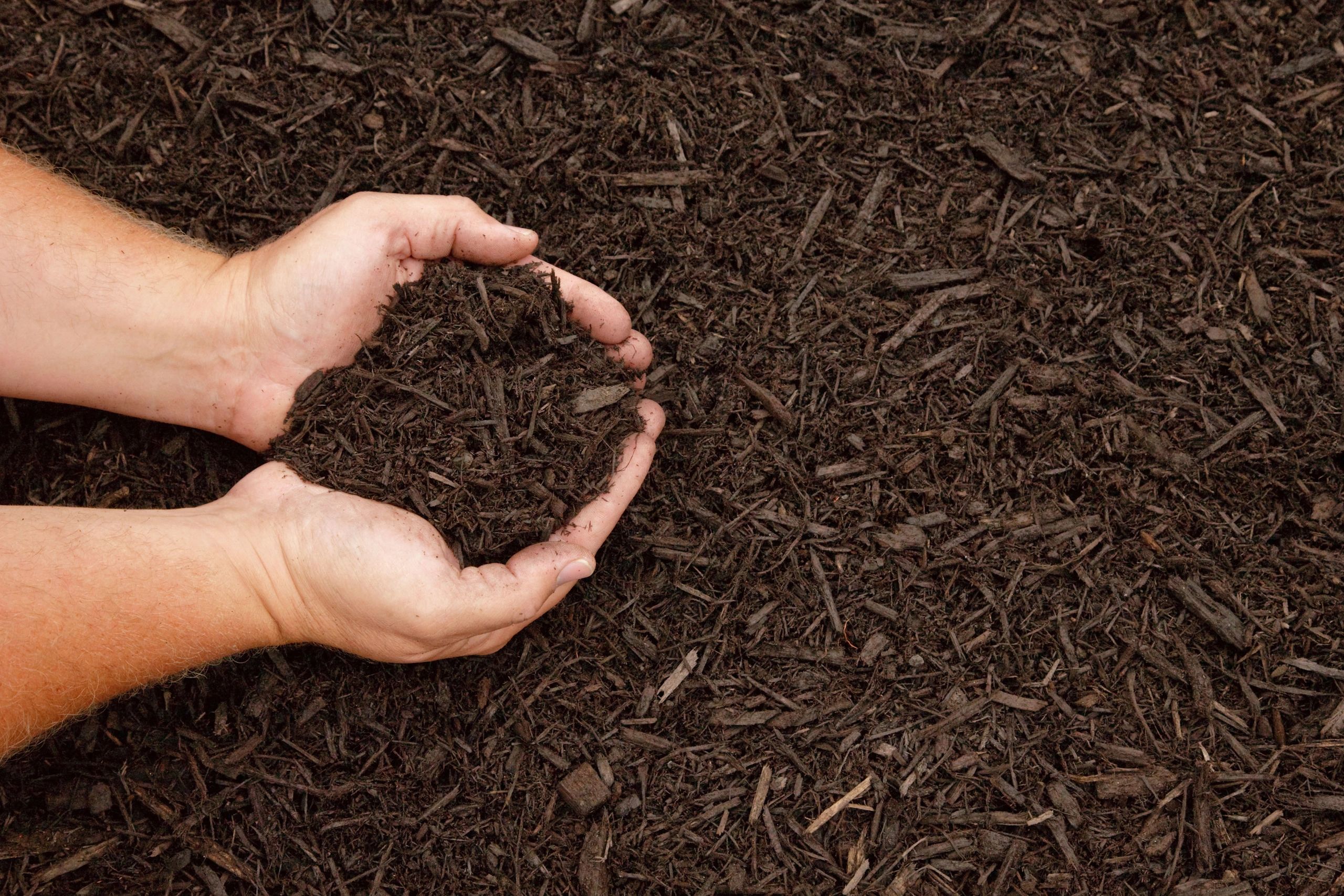 3 Popular Uses for Mulch on Your Property