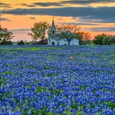 Online Community Church – Texas Country Church