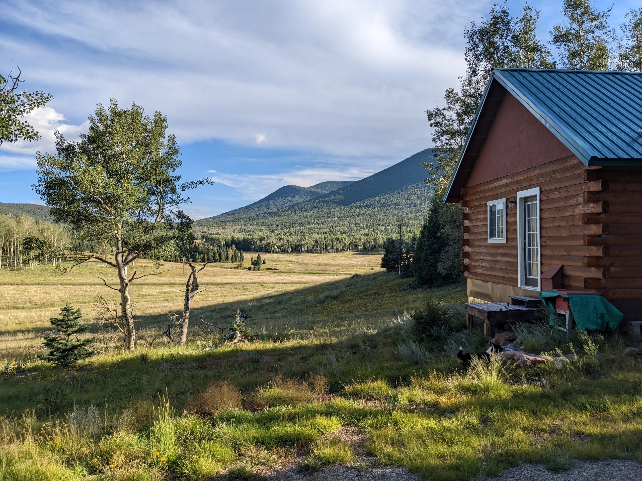 Forbes Park & Wagon Creek