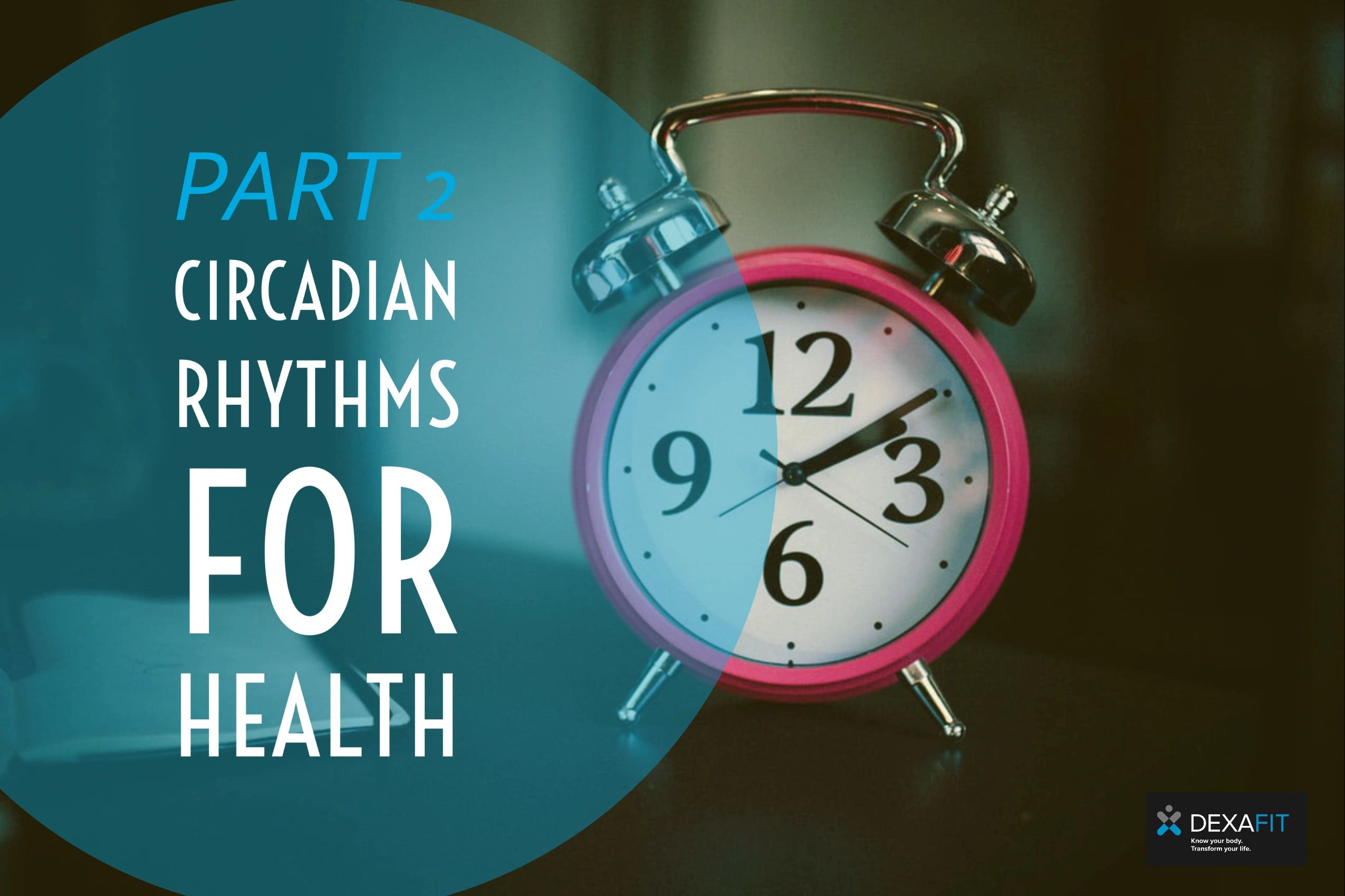 Are You In Control of Your Circadian Rhythm?