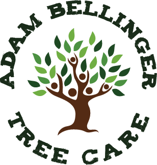 End of an Era for Adam Bellinger Tree Care