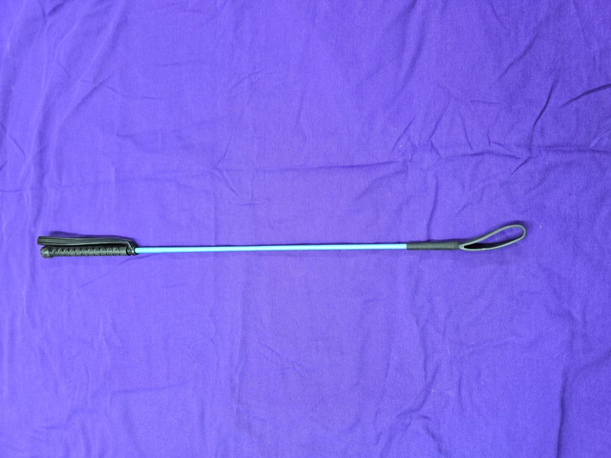 short whip aqua
