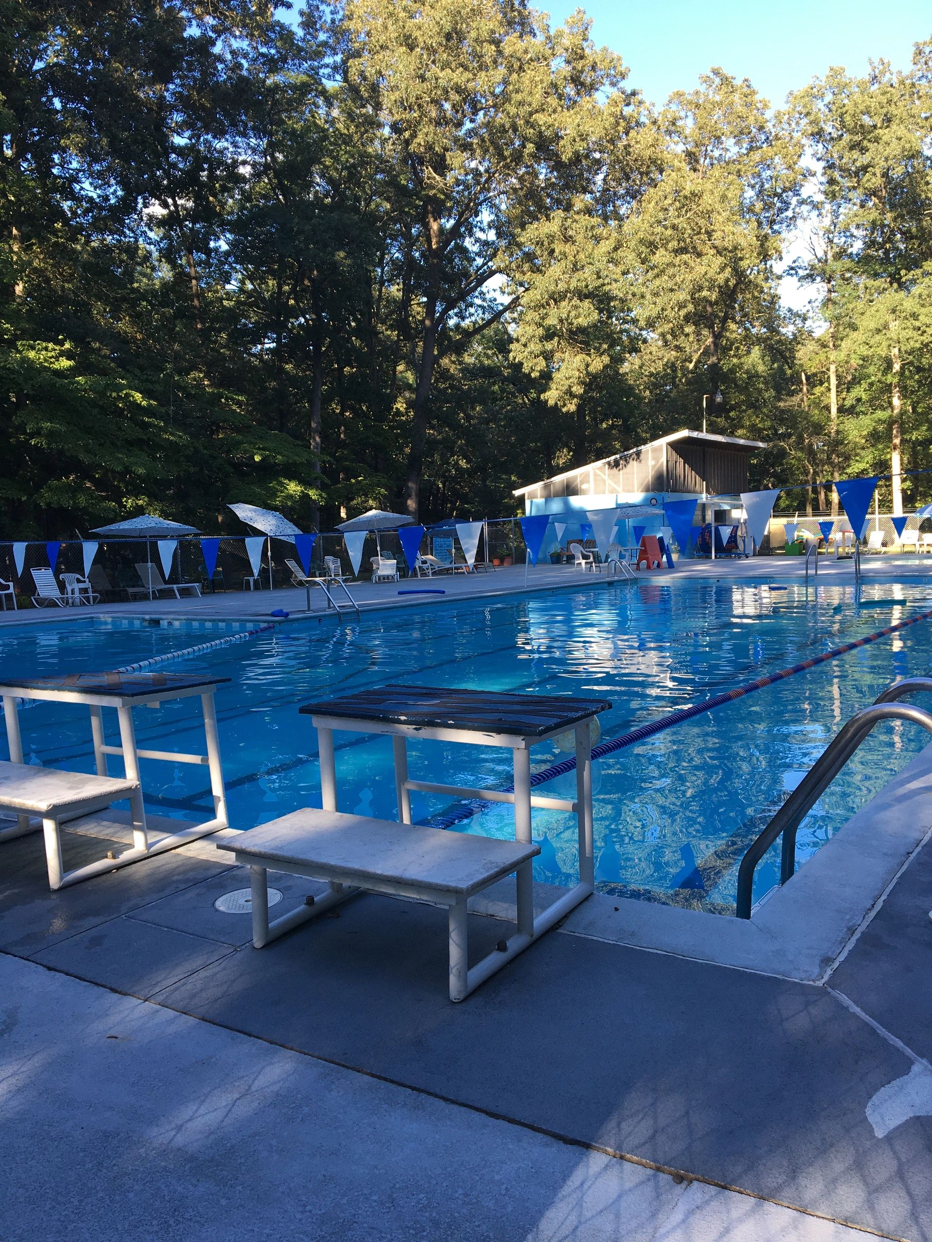 Seaford Swimming Association Home