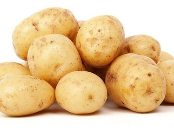 Wholesale Produce & Food Products | Oke Produce Ontario