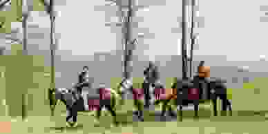 Equestrian Events | Circle E Guest Ranch, LLC