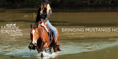 Equestrian Events | Circle E Guest Ranch, LLC