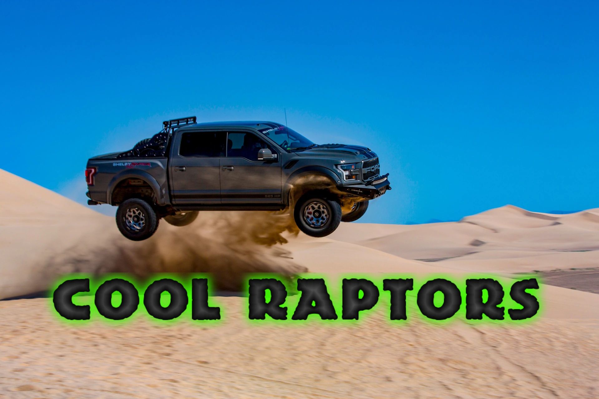 RAPTOR-R