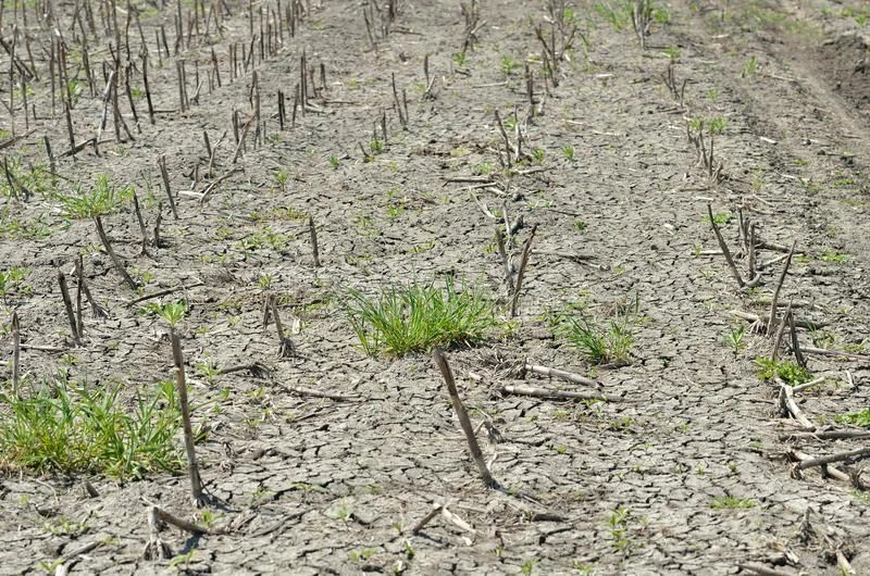 IMN alerta a costarricenses sobre comportamiento de la época seca