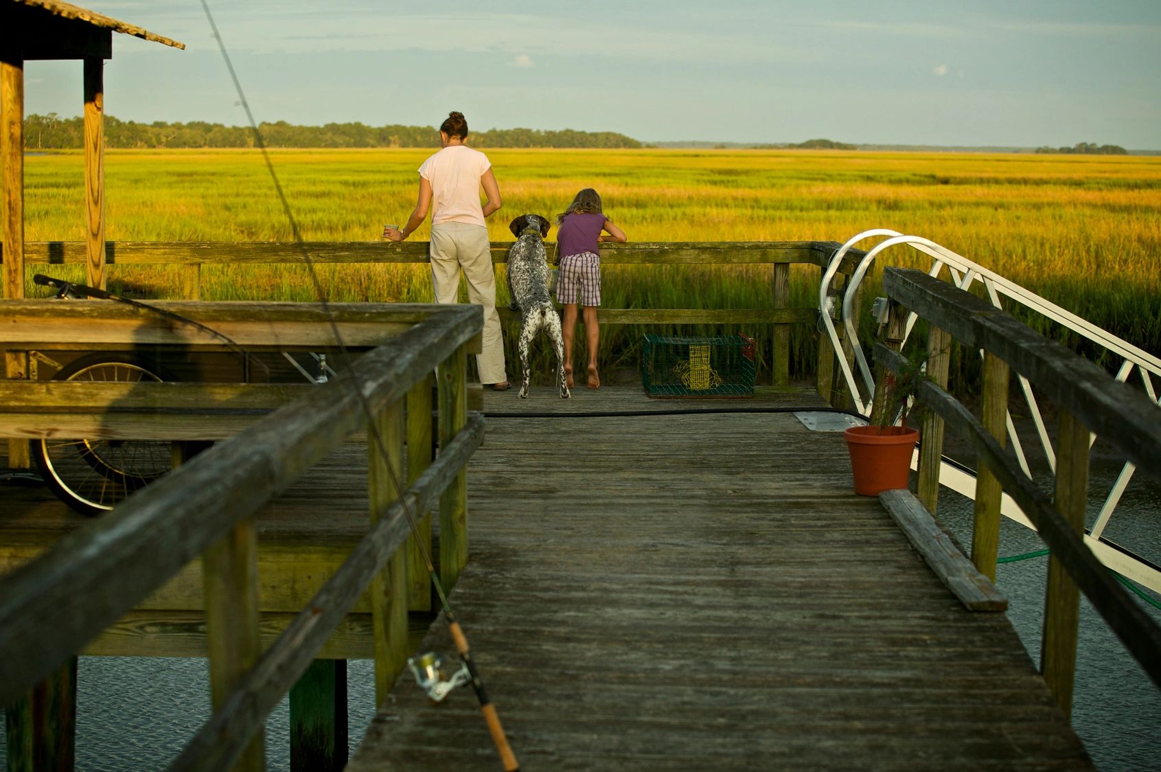 LaBarba Environmental Services - Wetland Delineation, Dock Permit