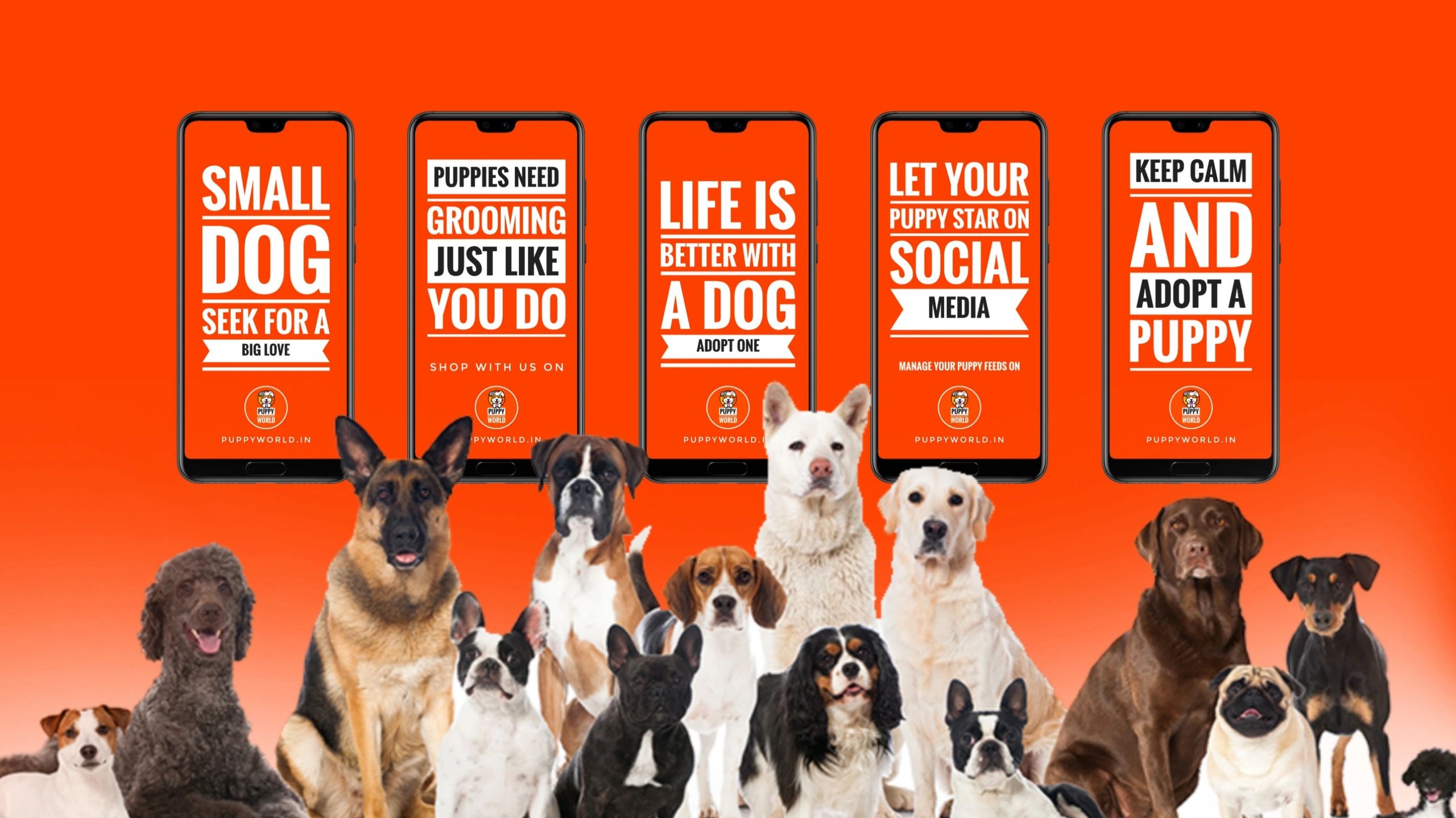 Puppy World India Ltd.
