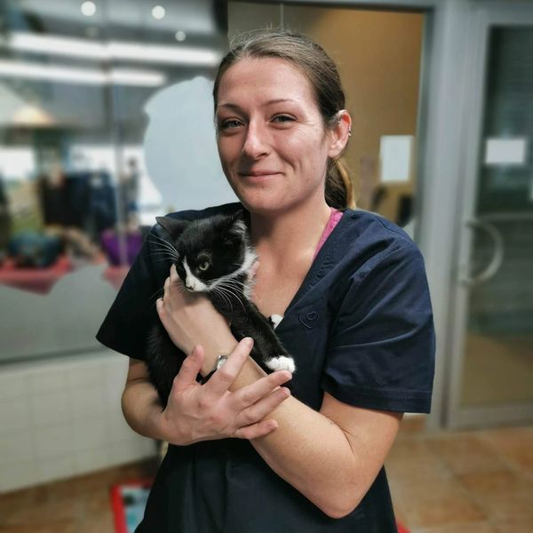 Exam Room Assistants
