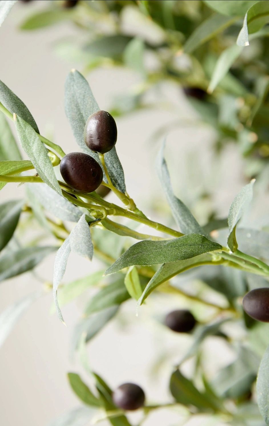 Drawing & Talking | Olive Grove Learning