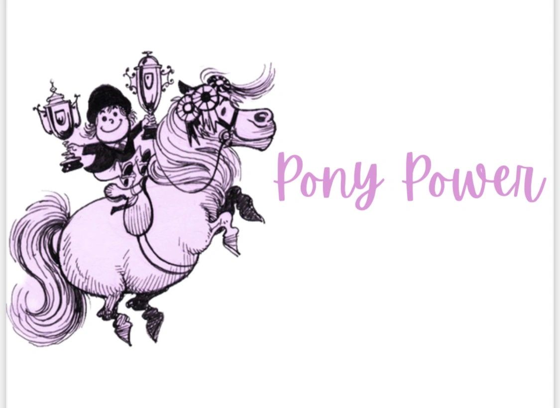 Meet The Ponies