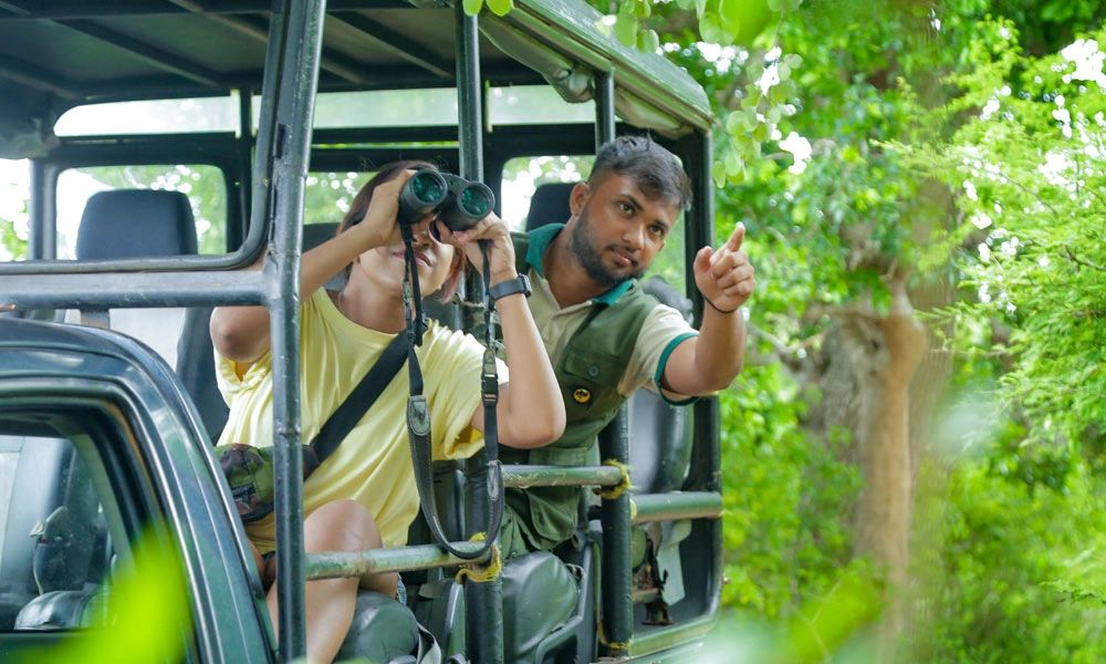Yala National Park Safari