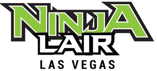 Experience the Ultimate Obstacle Course at Ninja Lair