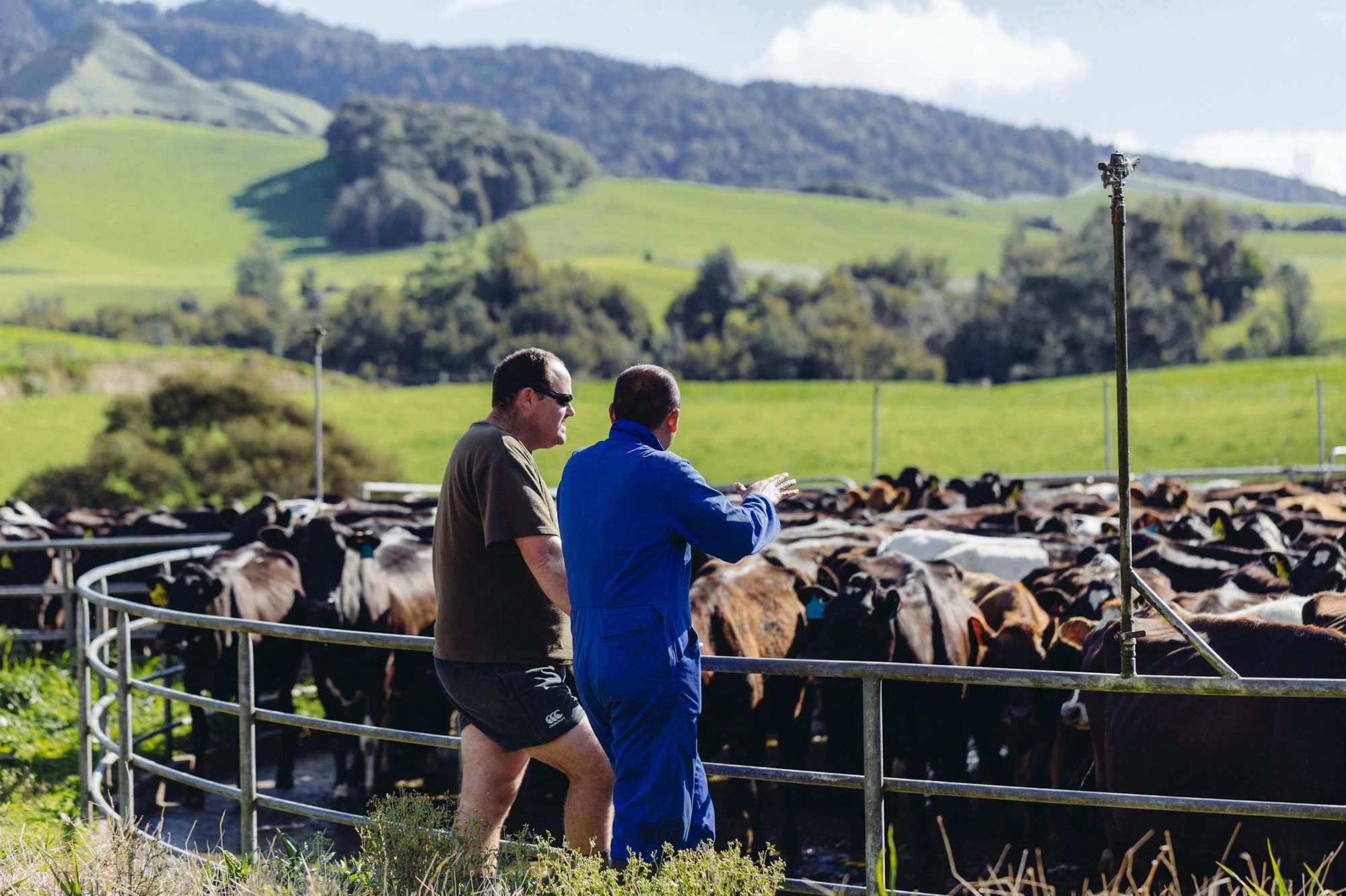 Rural NZ Recruitment