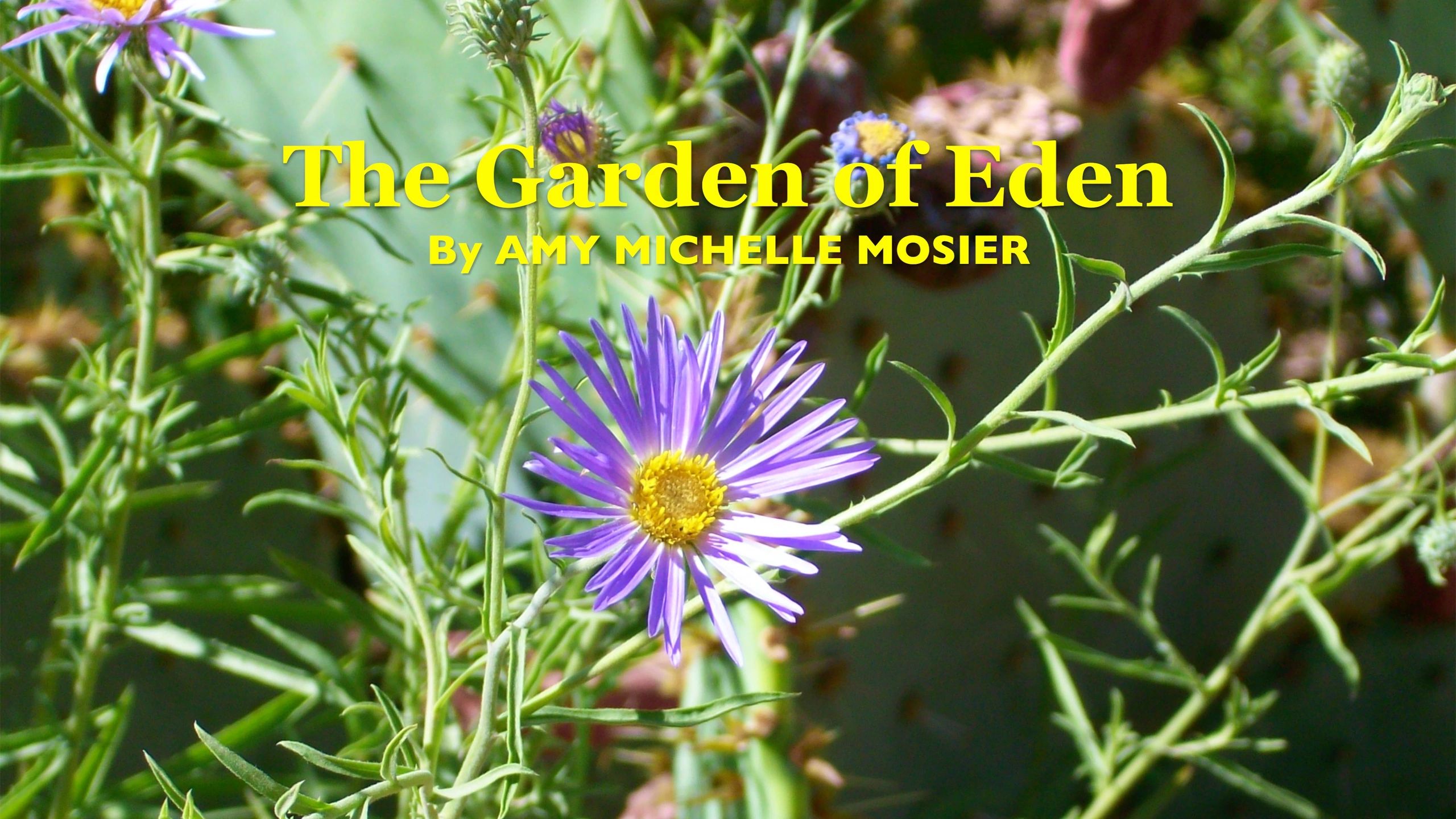 POEM: The Garden of Eden by Amy Michelle Mosier
