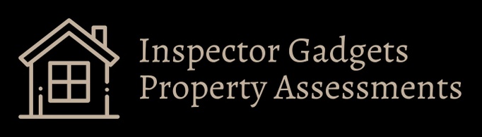 Professional Property Inspection Services