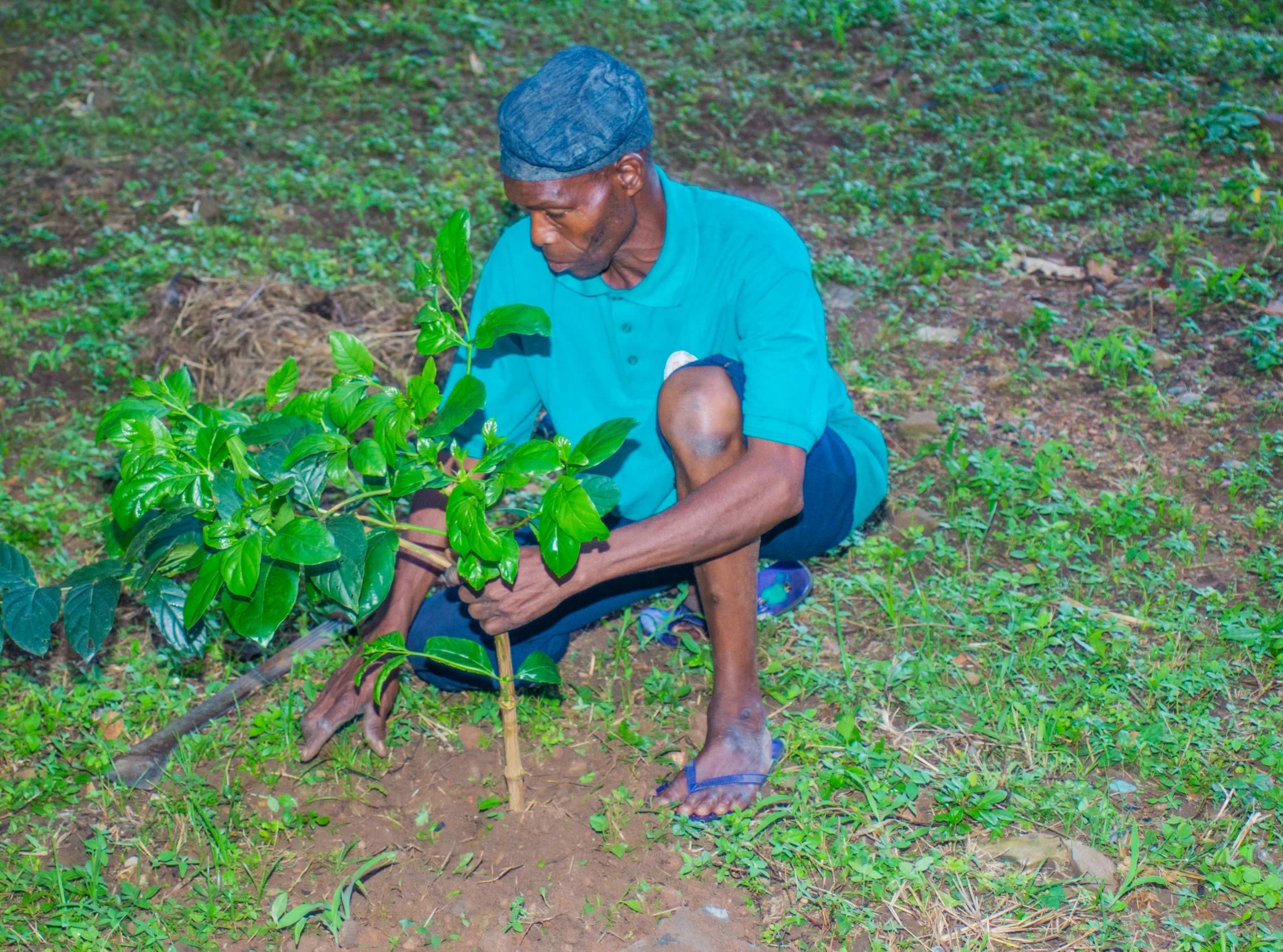 Gallery | GGWoA Foundation