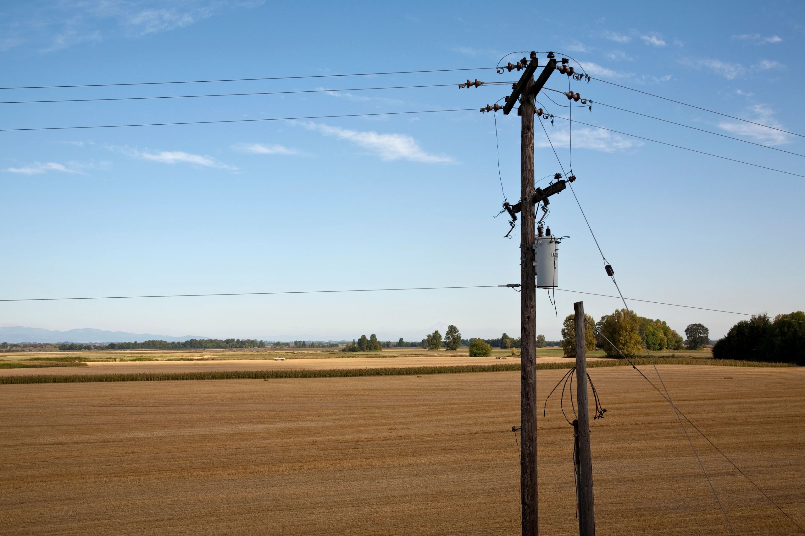 High-Quality Wood Utility Poles Repair