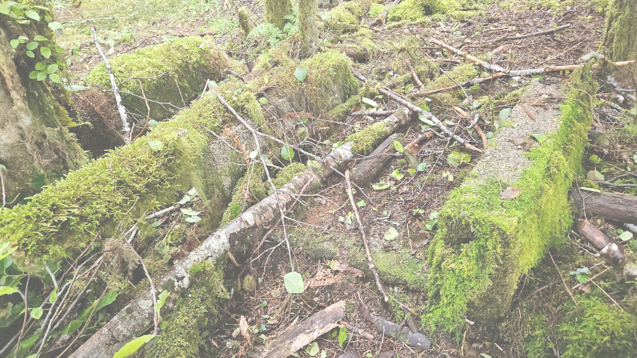 J. Castano Project Resume