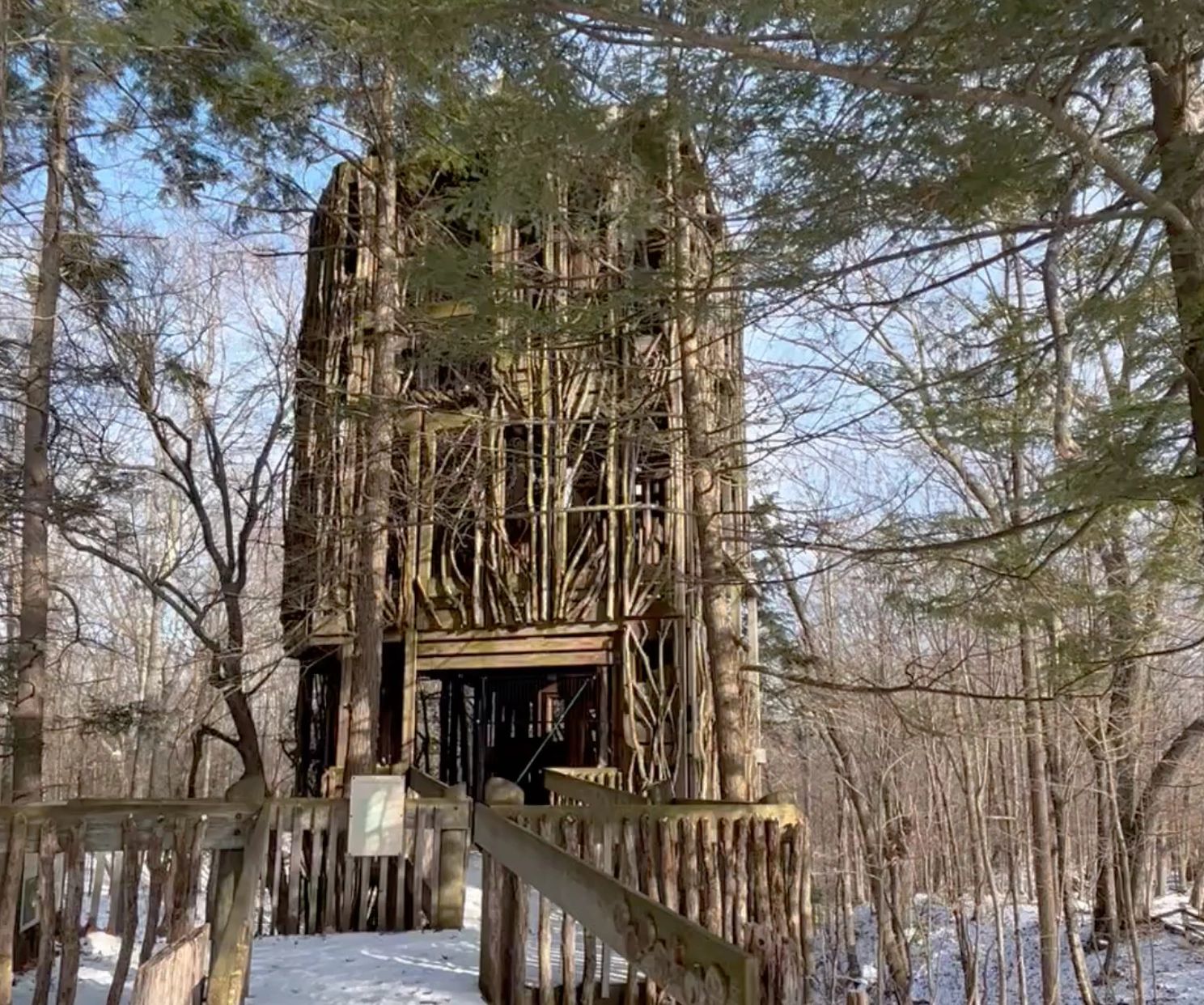 Six-story treehouse in NY offers a playful adventure for all ages
