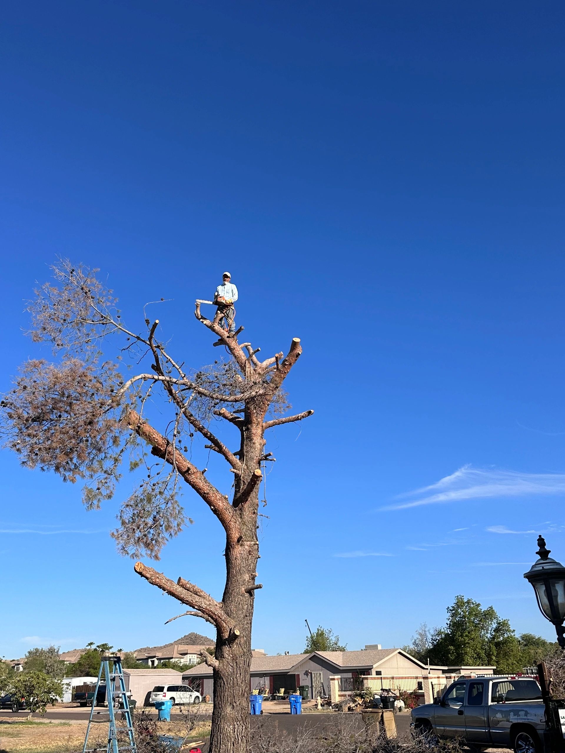 Libra Landscaping LLC