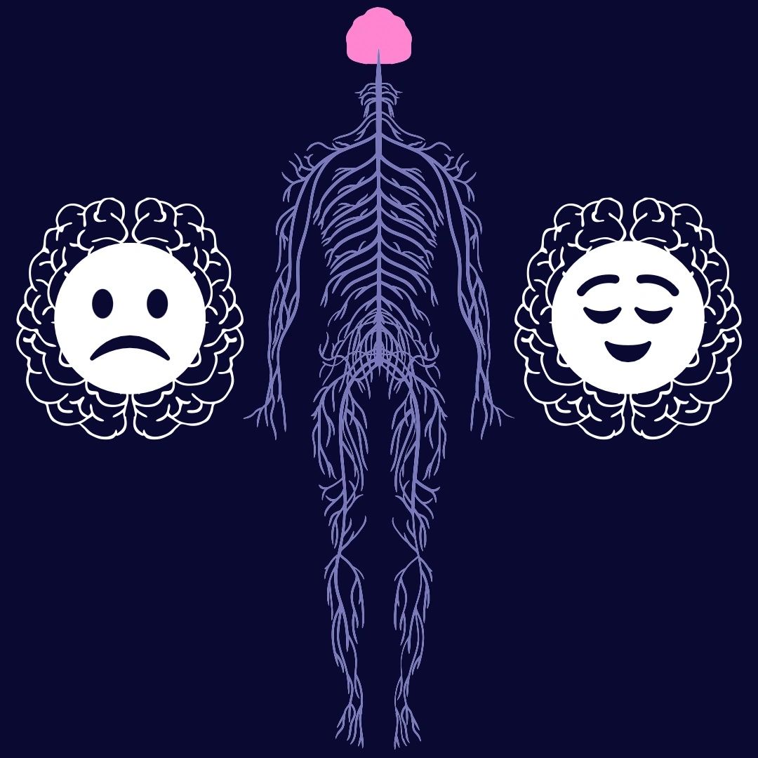 Anxiety and the Nervous System