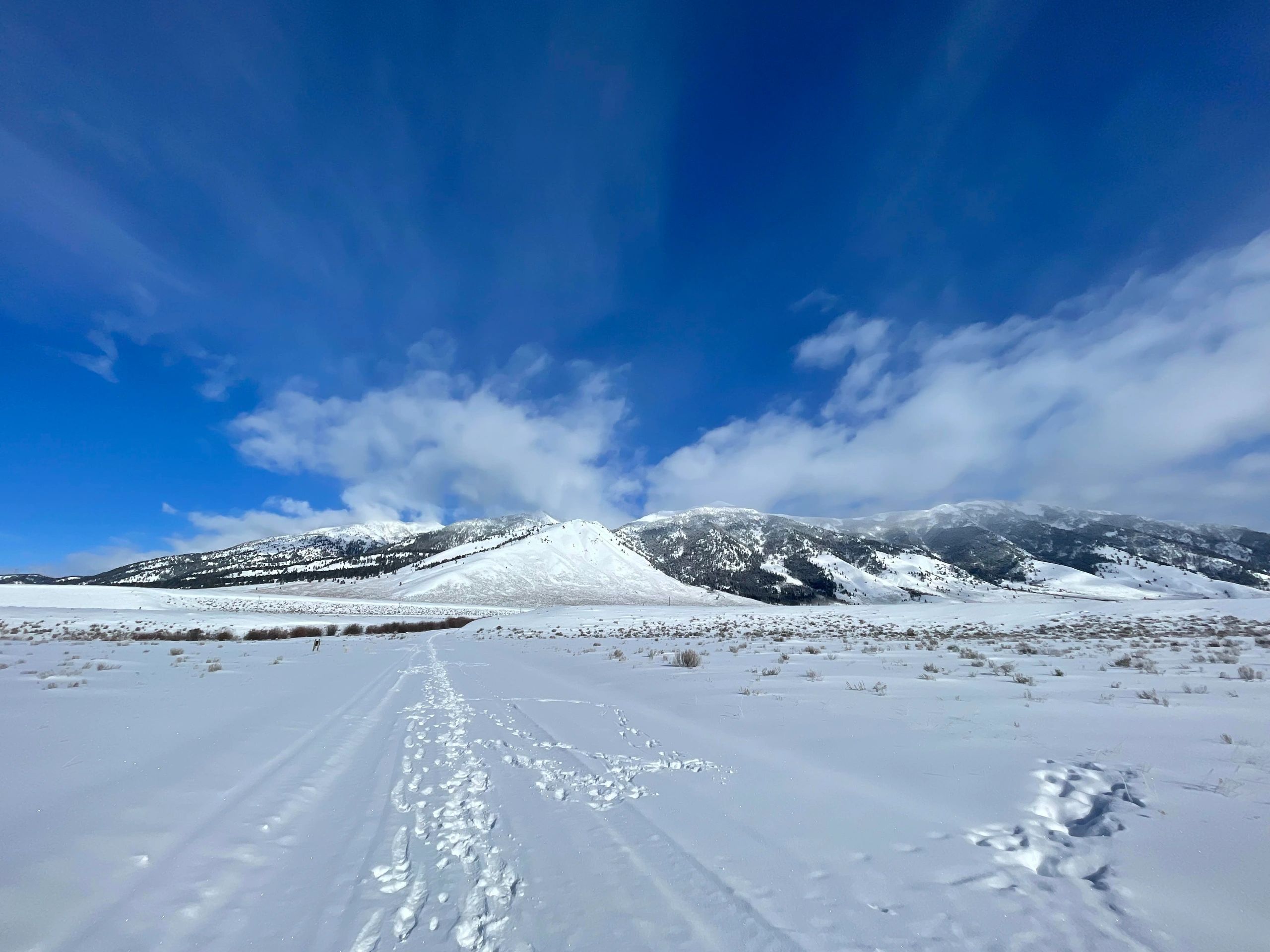 Madison March Update