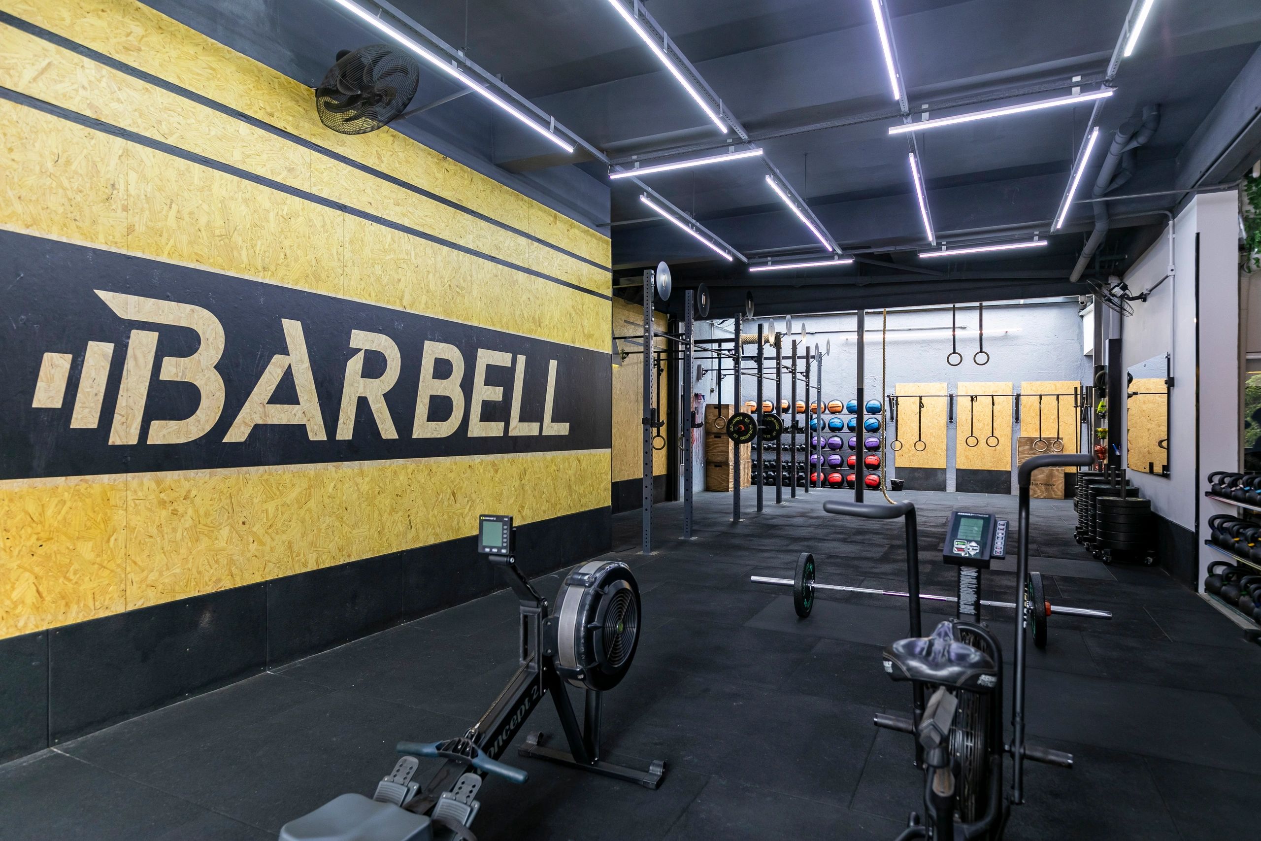 The Barbell Fitness