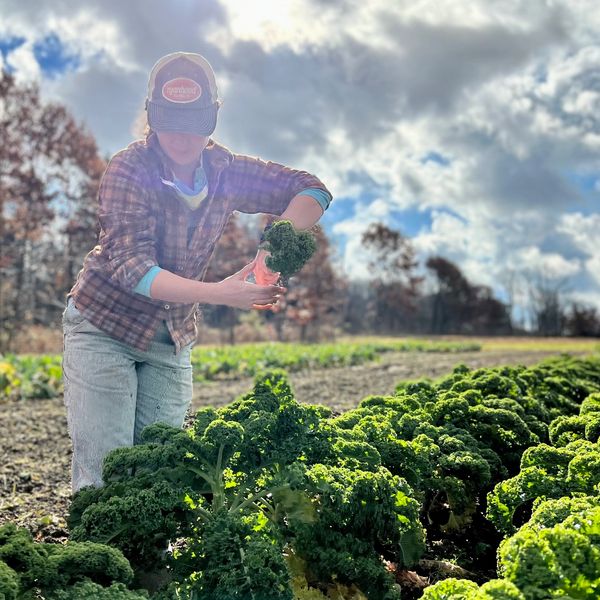 Clear Brook Farm - Home