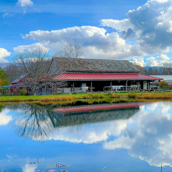Clear Brook Farm - Home