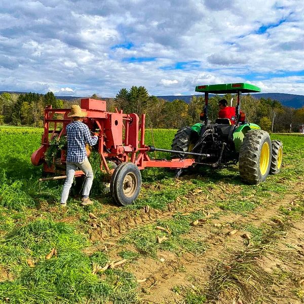 Clear Brook Farm - Home