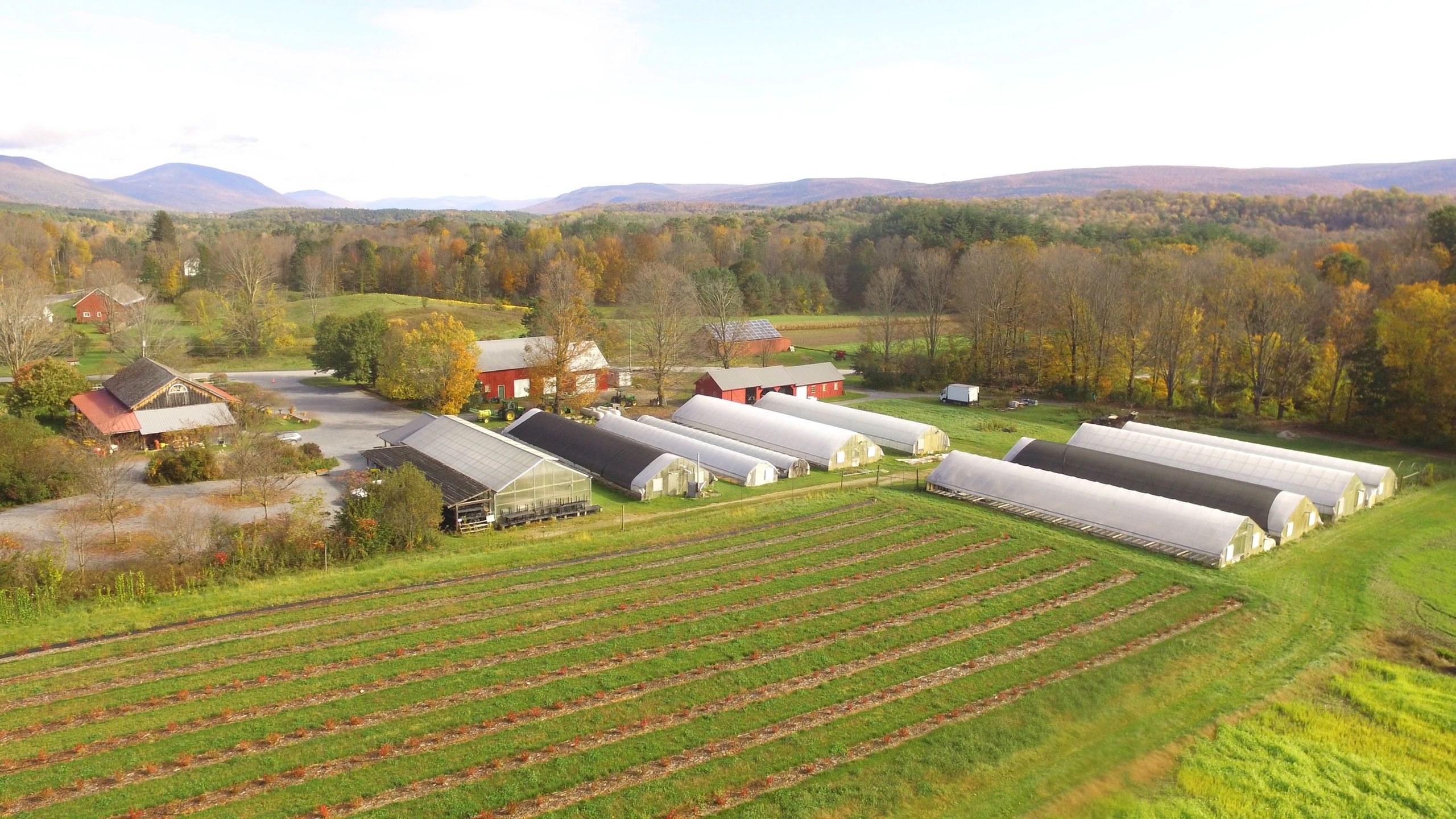 Clear Brook Farm - Home