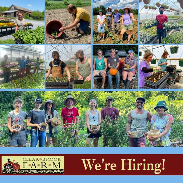 Clear Brook Farm - Home