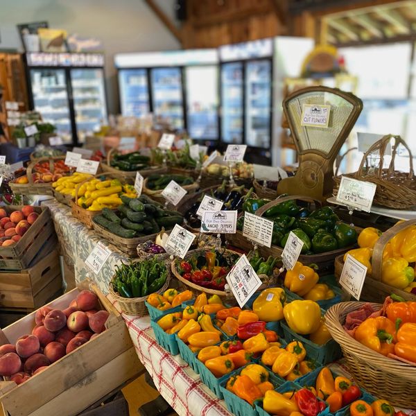 Clear Brook Farm - Home