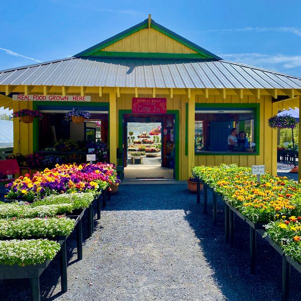 Clear Brook Farm - Home