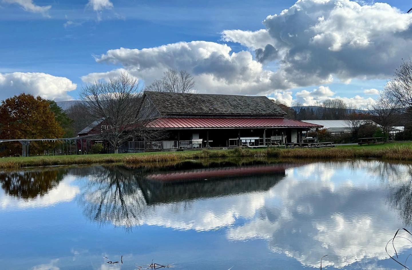 Clear Brook Farm - Home