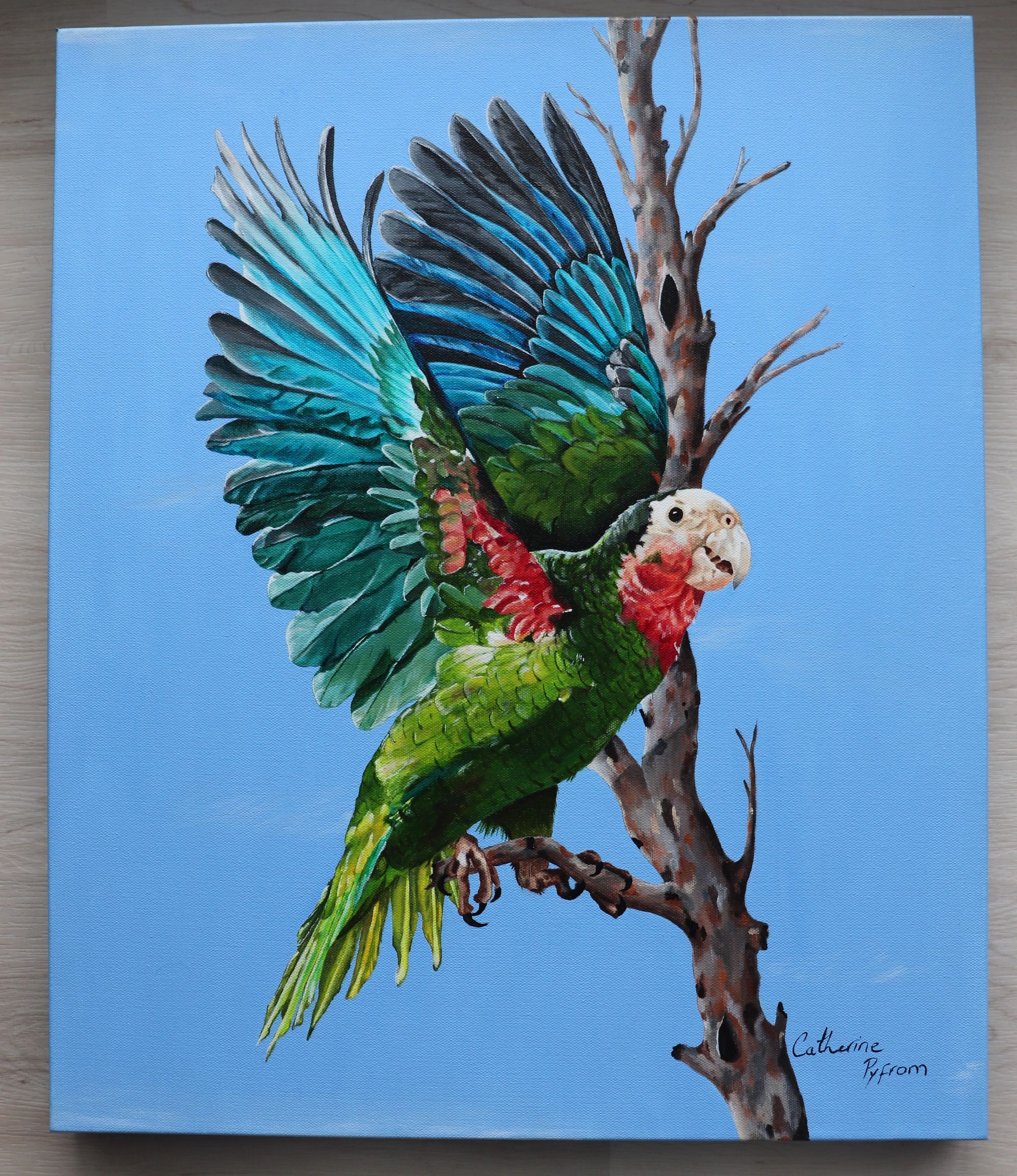 Catherine Pyfrom - Artist