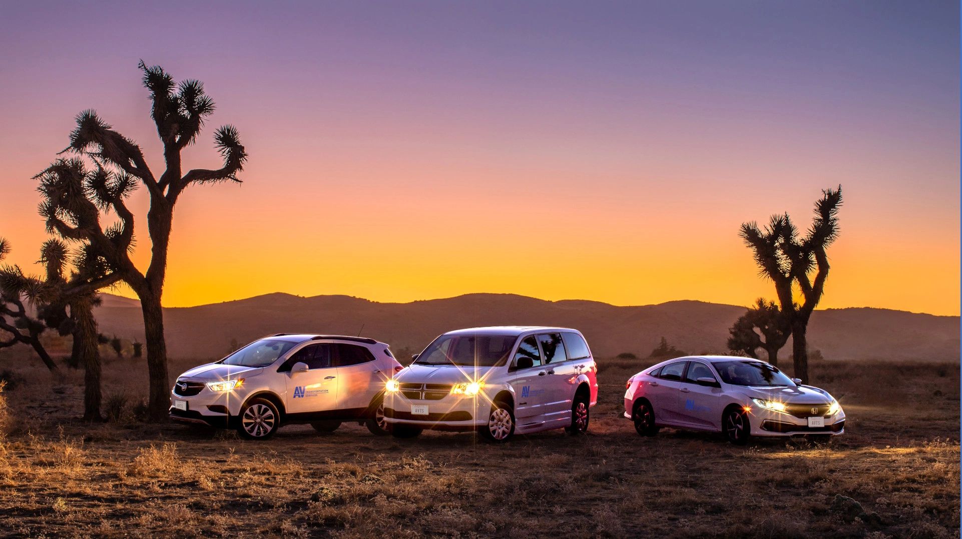 AV Transportation Services