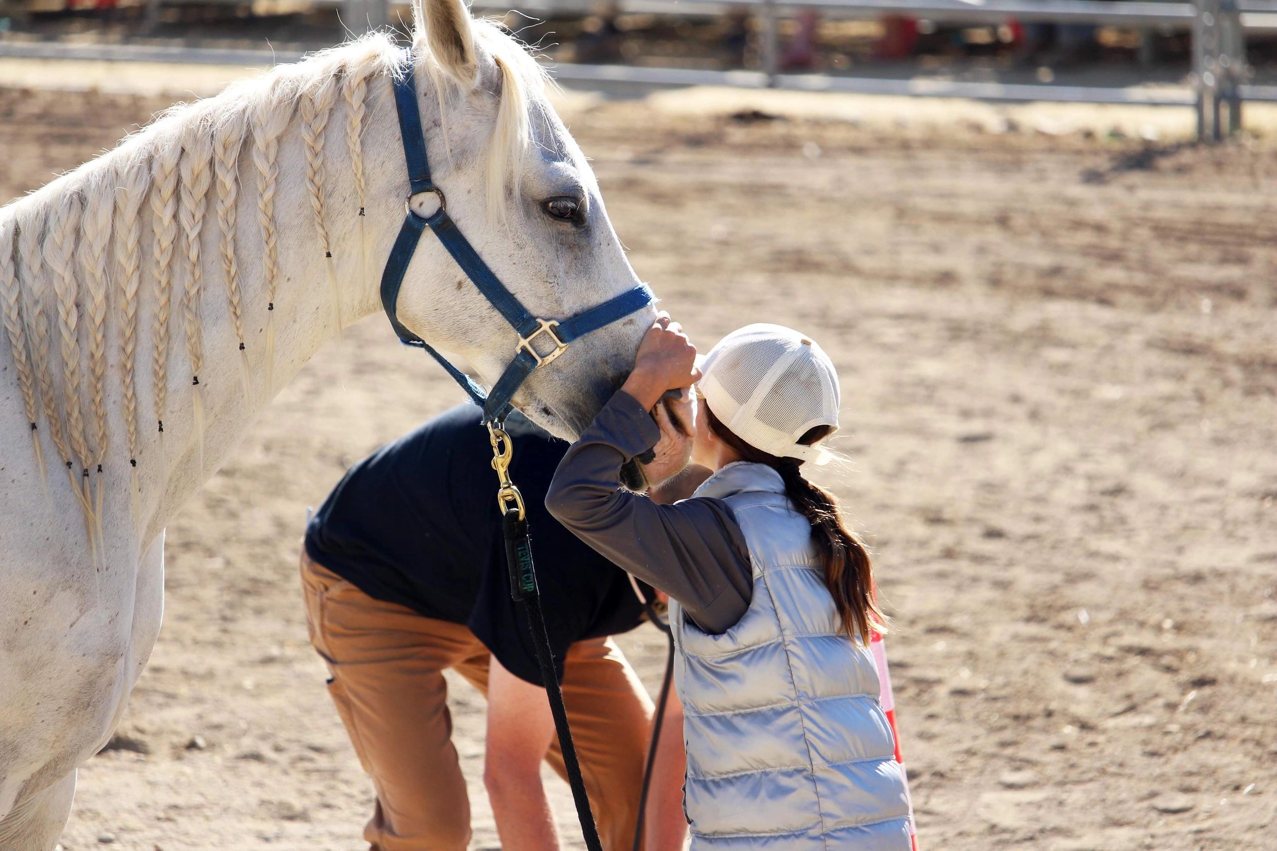 Horseback Riding Lessons - Crater Hill Equestrian
