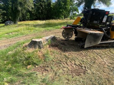 Bryan’s Stump Removal LLC.