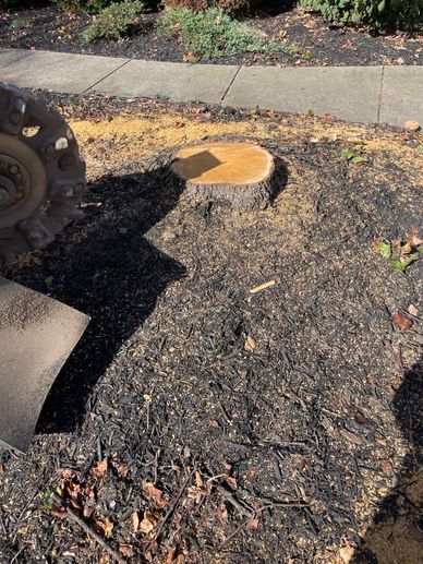 Bryan’s Stump Removal LLC.