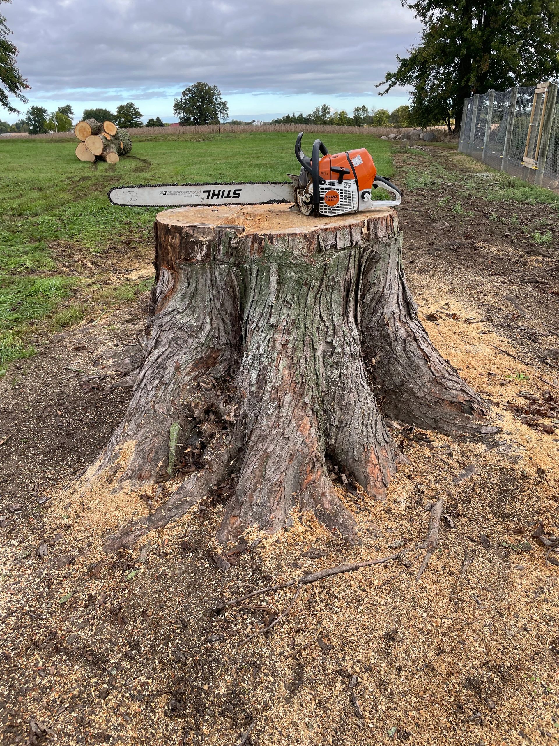 Bryan’s Stump Removal LLC.